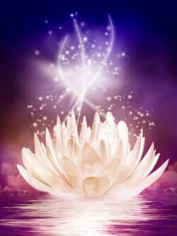 Story About The Evolution of The Soul - Angel-Sparkles